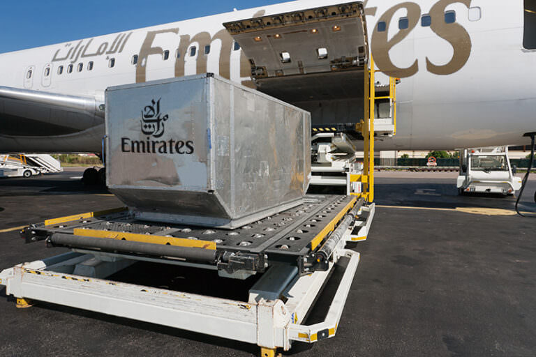 International Removalists | Overseas Shipping | Grace Removals