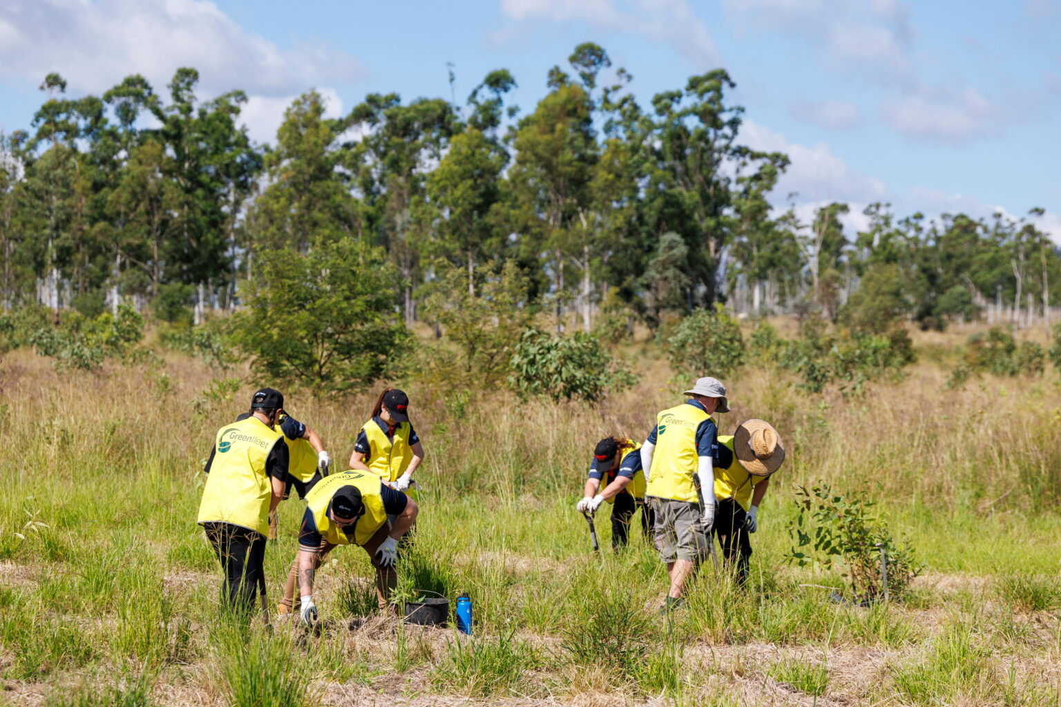 Restoring native habitats on Yuggera Country - Grace